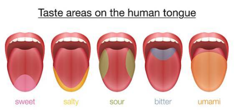 Focus on Food: Am I Addicted to Sugar? | Studio SWEAT onDemand